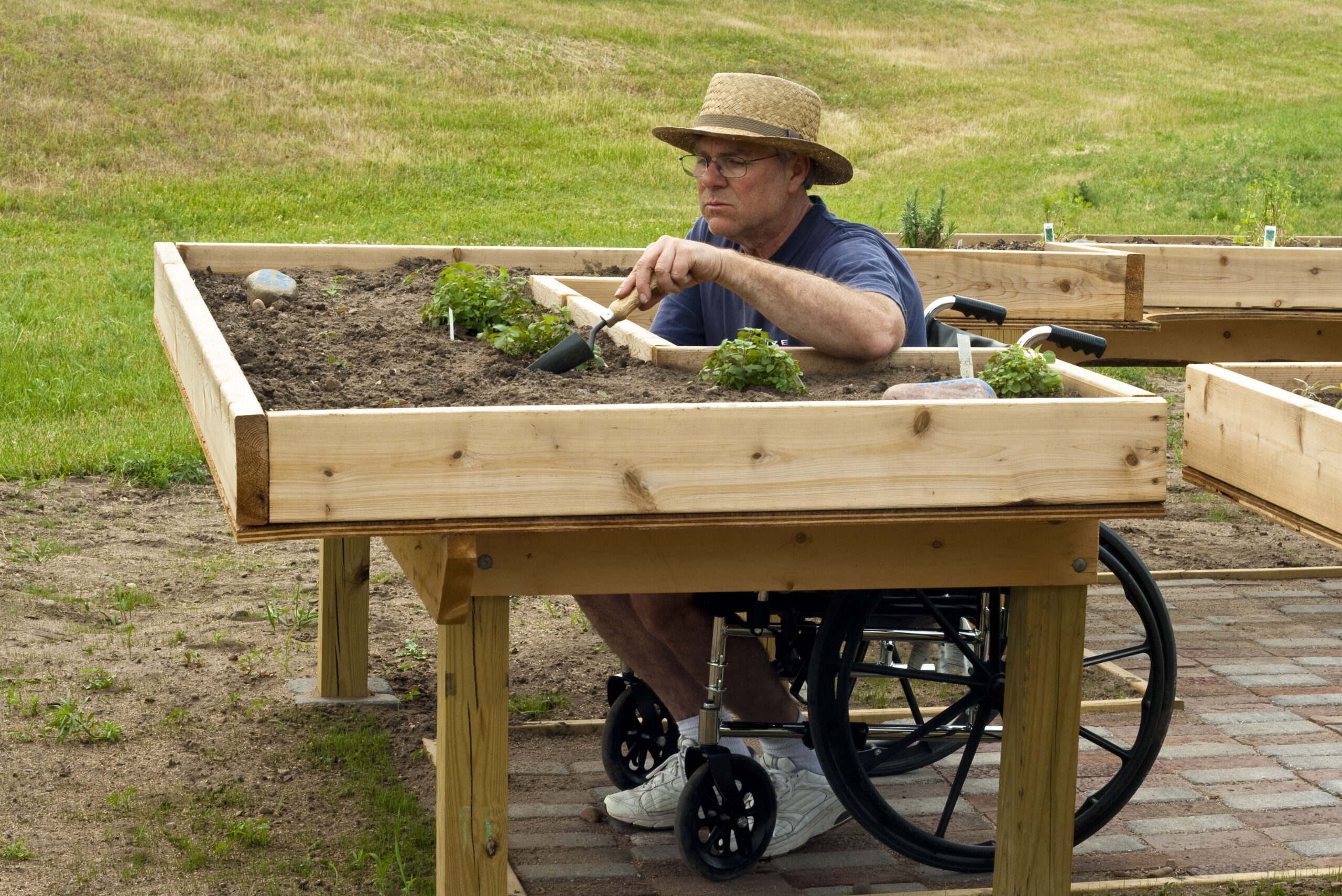 Celebrate Earth Day 2015 with an Accessible Garden